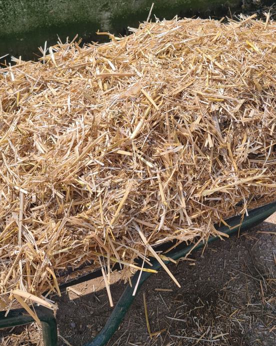 SLAMA velike kvader bale - ZLATA PŠENIČNA rez do 10 cm