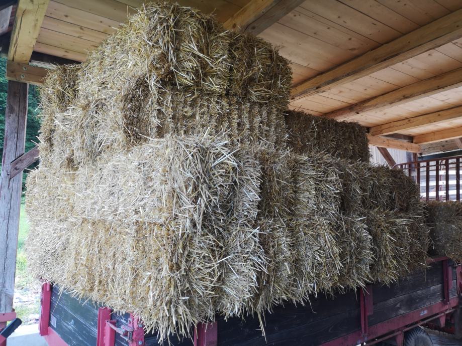 Slamnate bale
