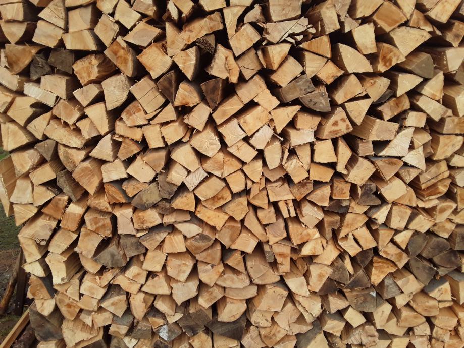 Suha BUKOVA drva kurjava