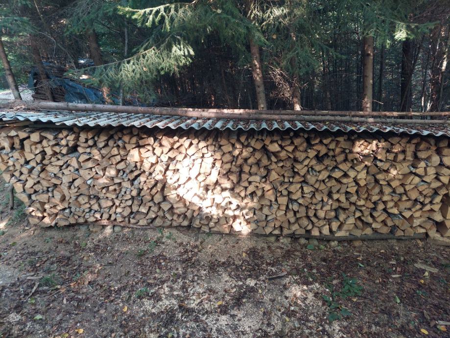 Suha jesenova ali brezova drva