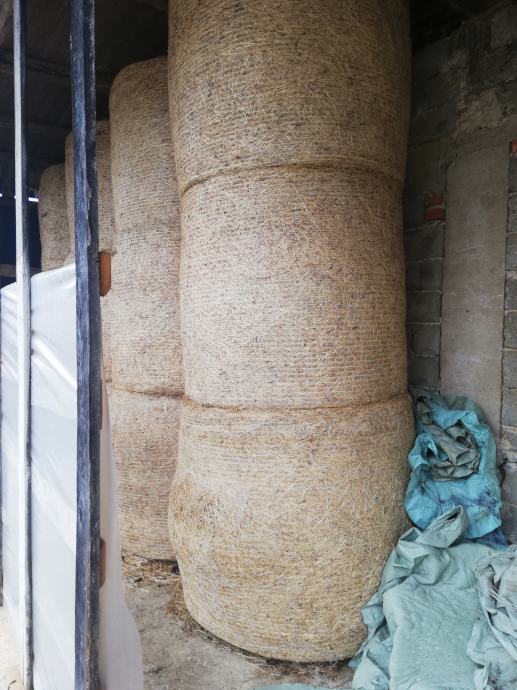Suhe bale 10 kosov