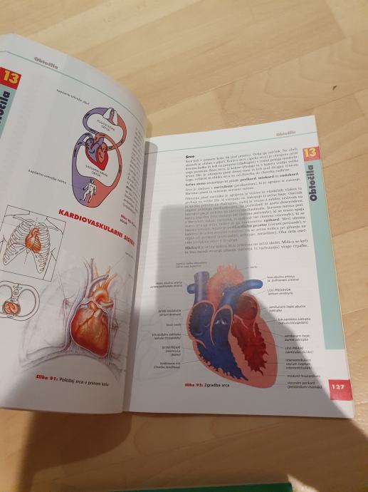 Anatomija in fiziologija človeka učbenik