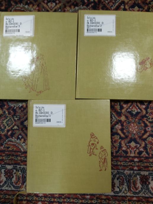 Božanska komedija Pekel, Vice, Raj Dante Alighieri