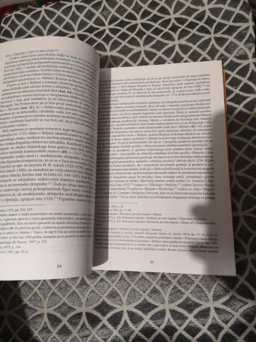Gotska arhitektura na goriškem - Robert Peskar