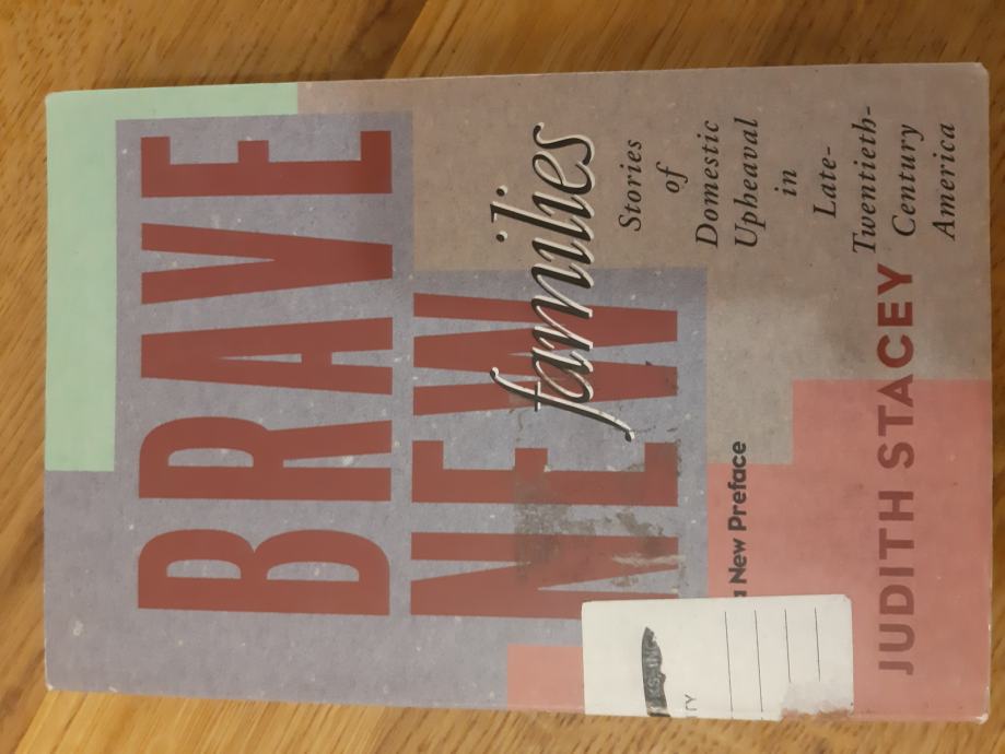 Judith Stacey Unhitched, Brawe new families, In the name of the family