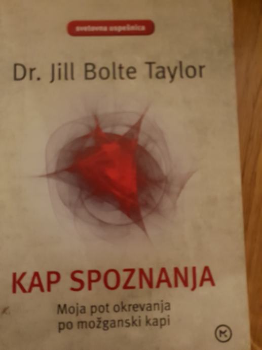 KAP SPOZNANJA (Moja pot okrevanja po možganski kapi)