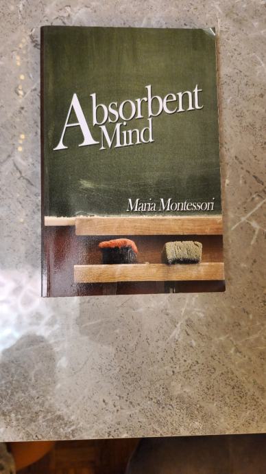 Knjiga Absorbent mind - Maria Montessori
