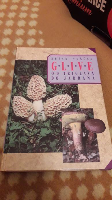 Knjiga GOBE, prodamo