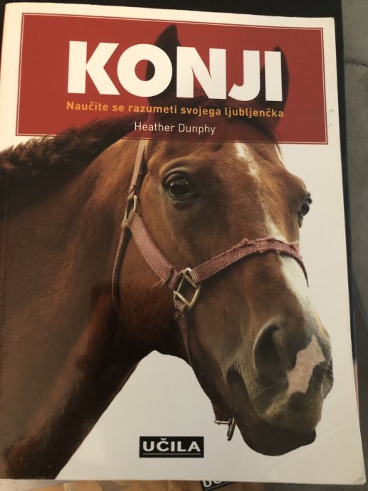 Konji