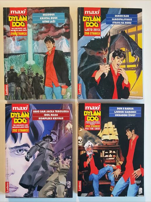 MAXI DYLAN DOG