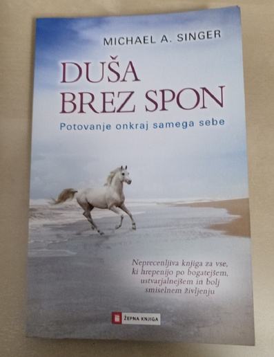 Michael A. Singer Duša brez spon