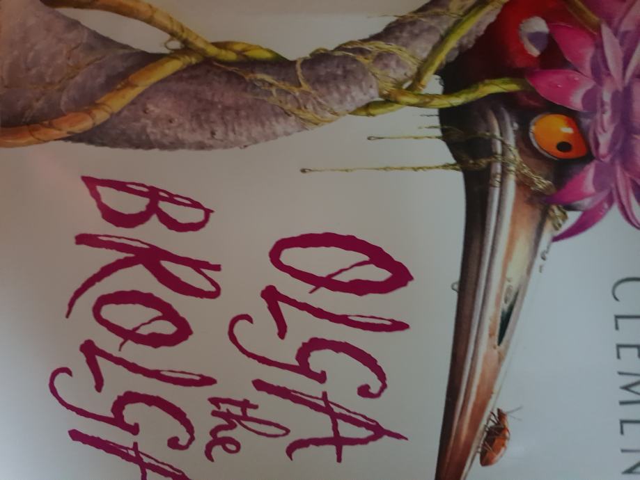 Olga the Brolga by Rod Clement