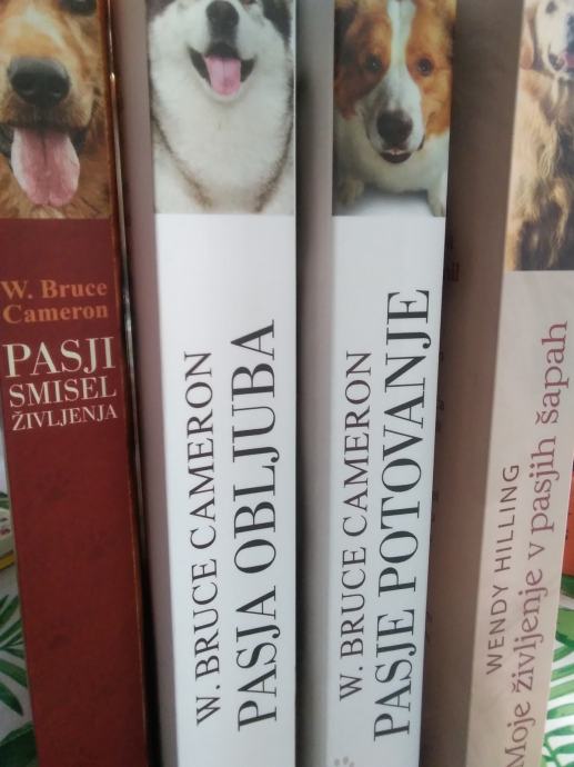 Pasja obljuba, Pasje potovanje, Pasji smisel življenja