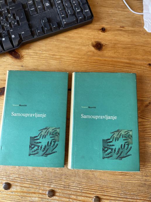 STANE KAVČIČ - SAMOUPRAVLJANJE