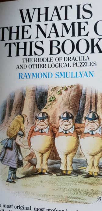 What Is the Name of This Book? by Raymond M. Smullyan