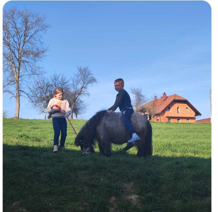 Prodam mini poni kobilo