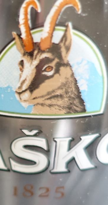 Komplet 7 kozarcev Laško