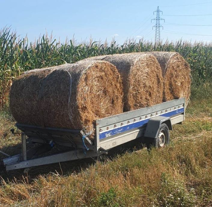 Okrogle bale slame
