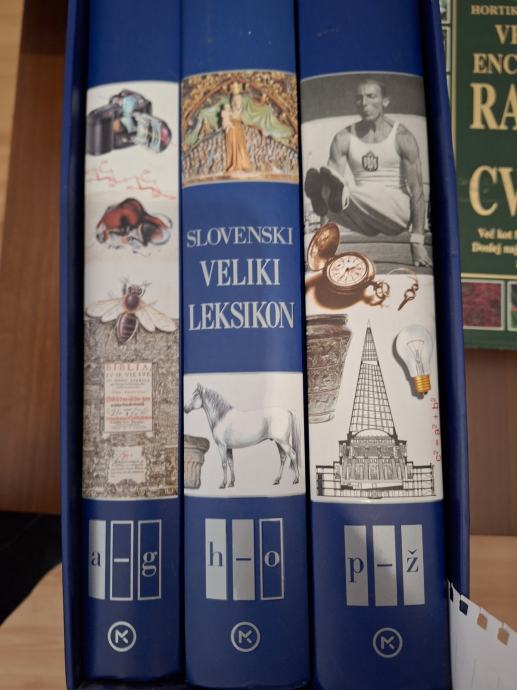 Slovenski veliki leksikon