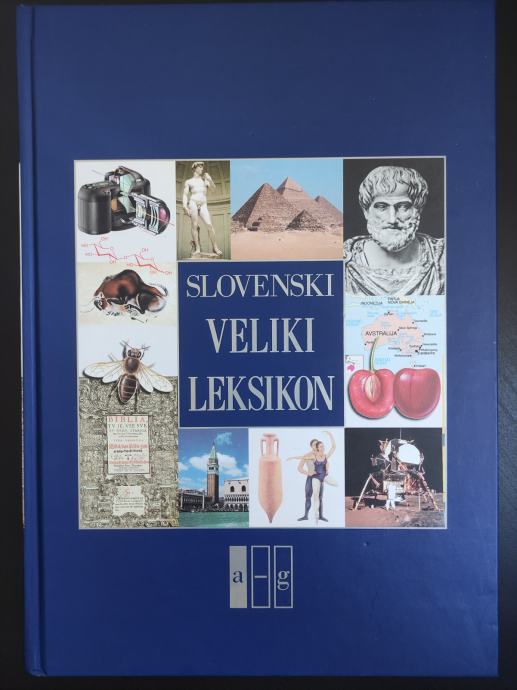 SLOVENSKI VELIKI LEKSIKON vse 3 knjige