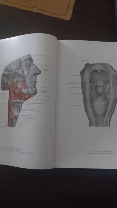 ANATOMSKI ATLAS ČLOVEŠKEGA TELESA, I, II IN III DEL