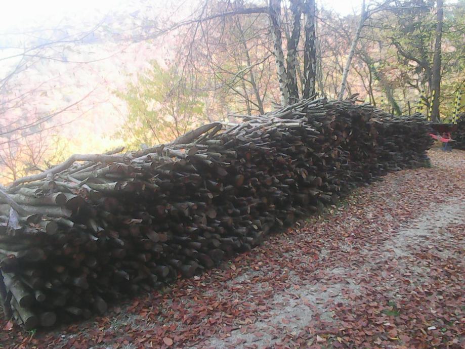 Suha drva - bukev, beli gaber, hrast - Zagorje ob Savi