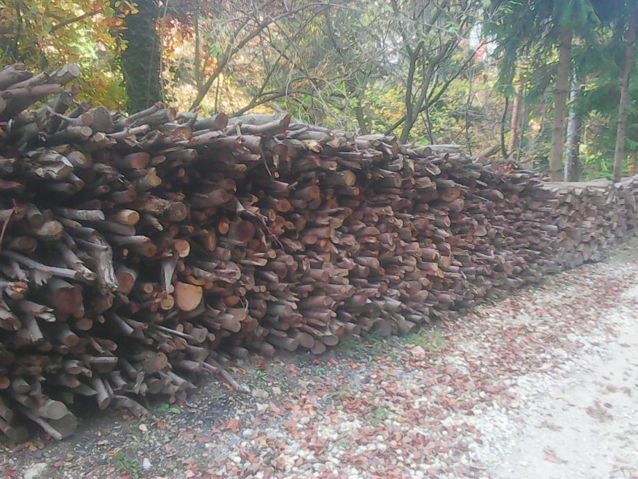 Suha drva - bukev, beli gaber, hrast - Zagorje ob Savi