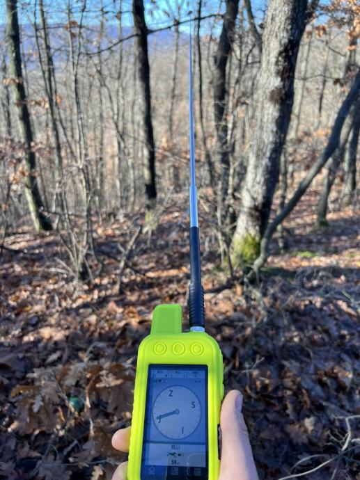 Antena za Garmin Alpha, Astro, Hunter