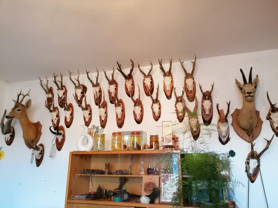 Stenske lovske trofeje