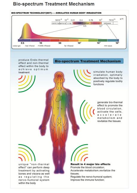 Zhoulin WS-101 Bio-spectrum biospectrum terapija