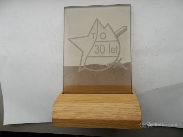 SLOVENSKA VOJSKA NAMIZNI ZNAK 30 LET TO 15,5 CM X 10 CM