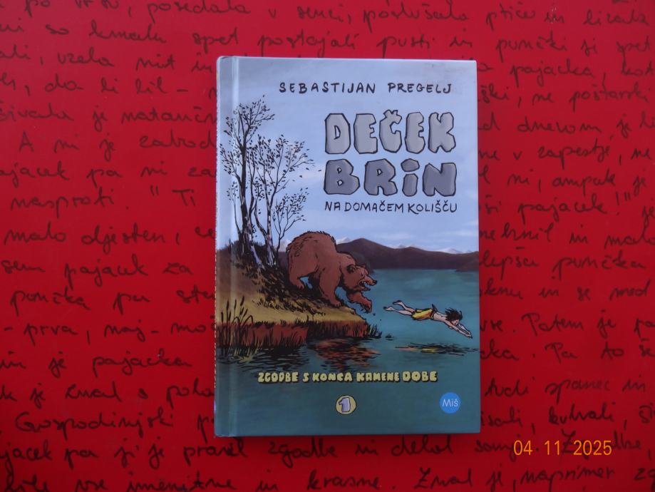 DEČEK BRIN NA DOMAČEM KOLIŠČU Sebastijan Pregelj