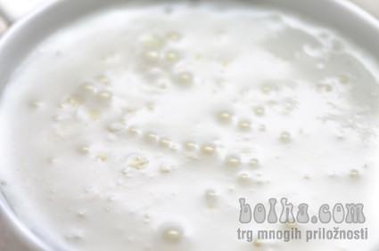 KEFIR: zrnca za izdelavo mlečnega kefirja