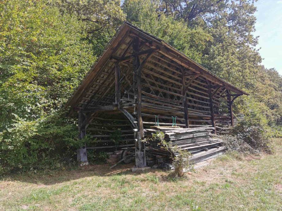 Kozolec
