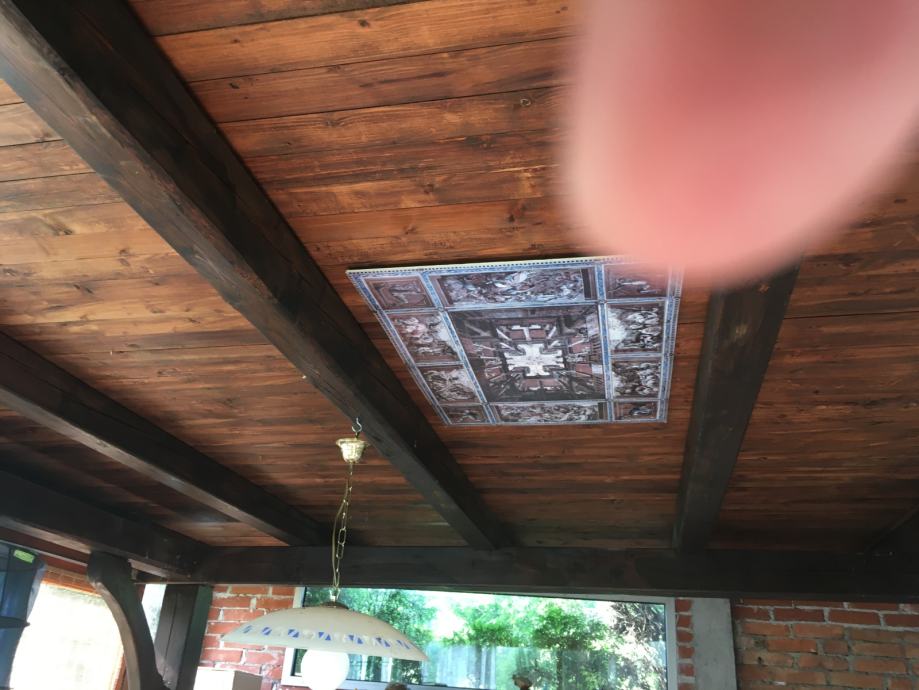 Lesena hiša - les, streha, tramovi.... podarimo.