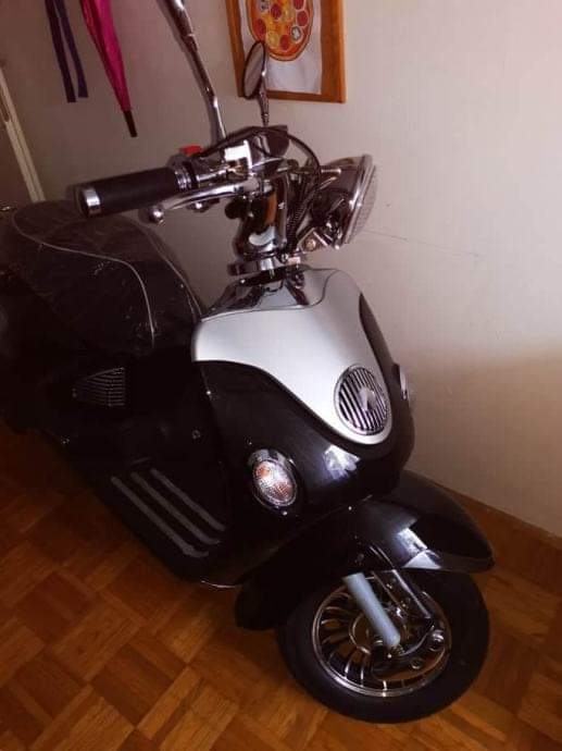 Druge znamke Znen Legend 50 cm3, 2019 l.