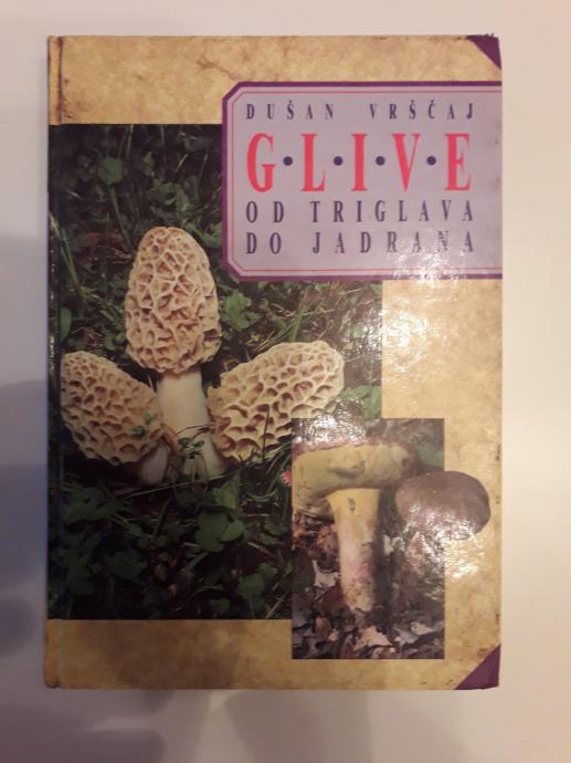 DUŠAN VRŠČAJ, GLIVE OD TRIGLAVA DO JADRANA, GOBE