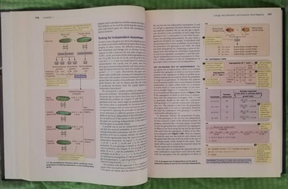 Genetics: A Conceptual Approach fifth edition (Benjamin A. Pierce)
