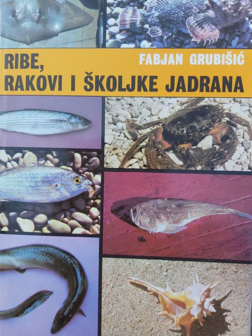 GRUBIŠIĆ RIBE, RAKOVI I ŠKOLJKE JADRANA