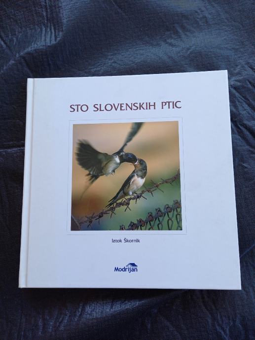 Sto slovenskih ptic, Škornik