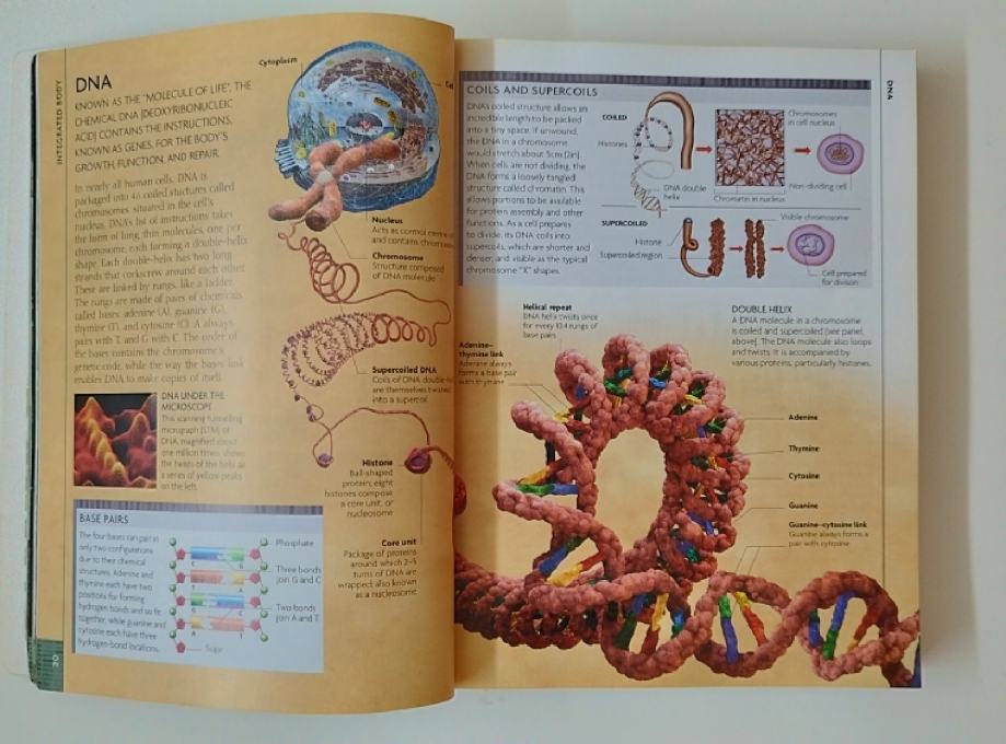 The Concise Human Body Book the-concise-human-body-book