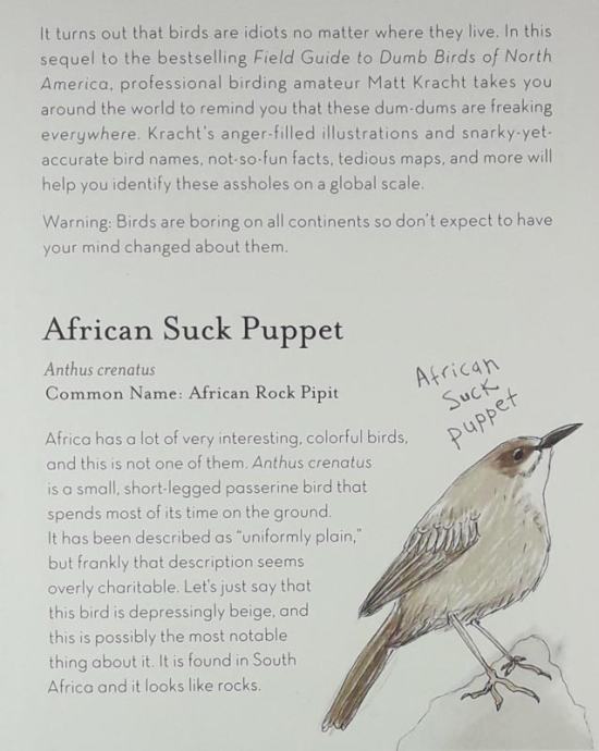 THE FIELD GUIDE TO DUMB BIRDS OF THE WHOLE STUPID WORLD, Matt Kracht
