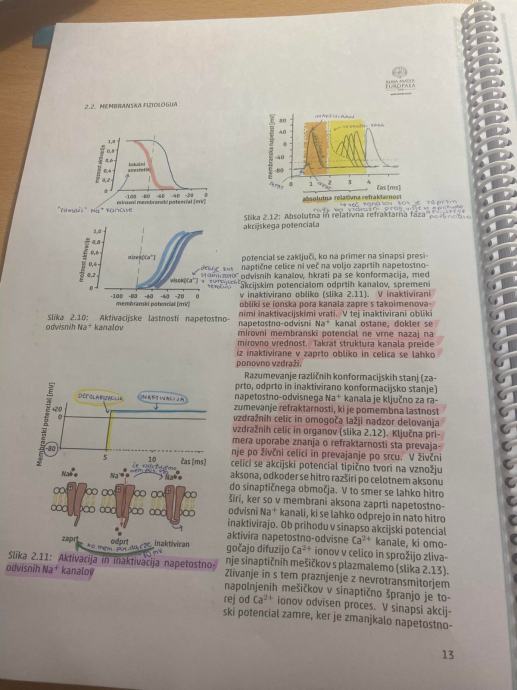 Uvod v fiziologijo in patofiziologijo- Marjan Slak Rupnik
