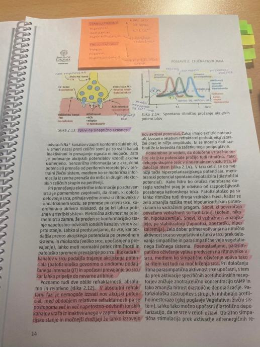 Uvod v fiziologijo in patofiziologijo- Marjan Slak Rupnik