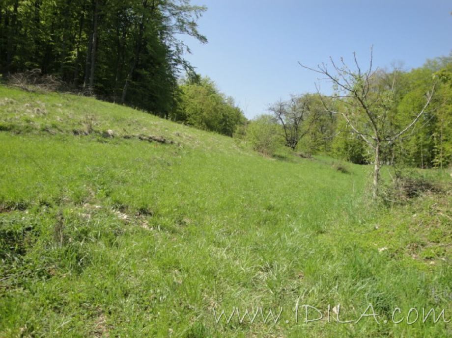 Gradbene parcele različnih velikosti v Šentilju - Šentilj