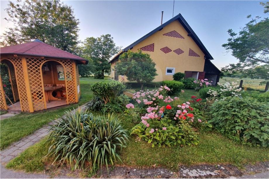 Hiša, poslovni ter gospodarski objekti (prodaja)