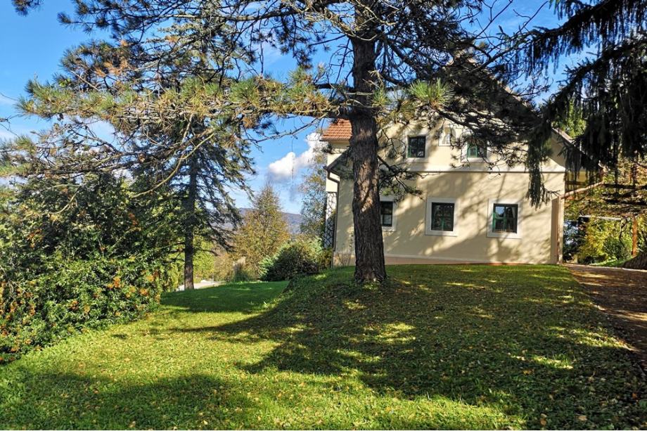 Idilična hiša in posest Vidovica (prodaja)