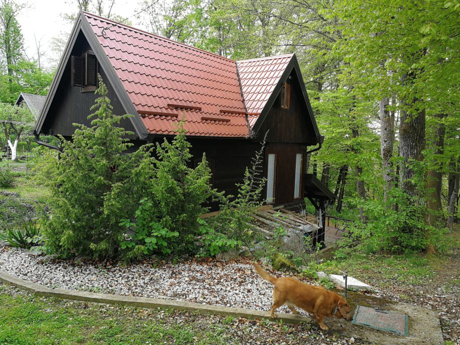 Kolpa, Ozalj (prodaja)