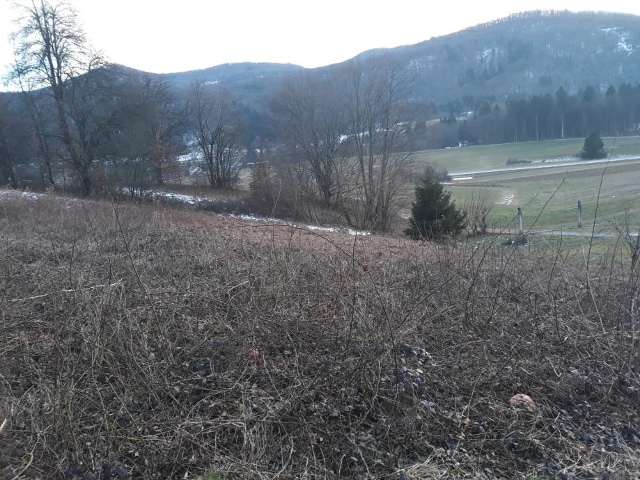 IVANČNA GORICA Velike Lese 1800 m2 zazidljiva