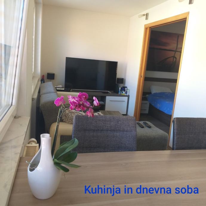 Lokacija stanovanja: Nova Vas, 37.00 m2 (oddaja)